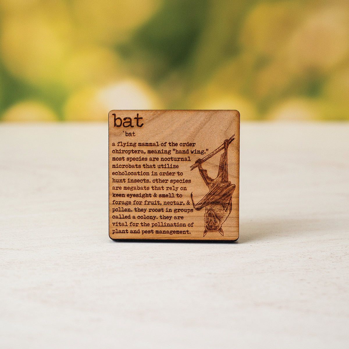 Bat Definition Magnet – Rack and Plume