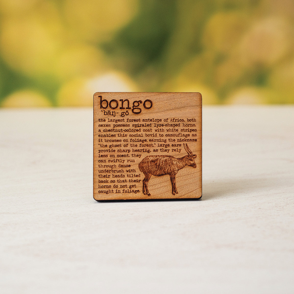 Bongo Definition Magnet – Rack and Plume