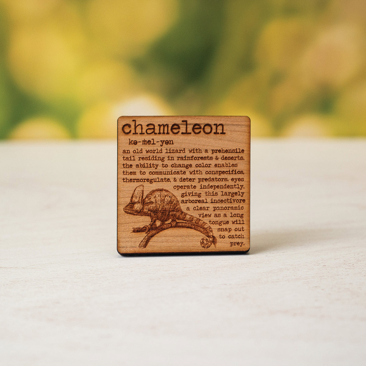 Chameleon Definition Magnet – Rack and Plume