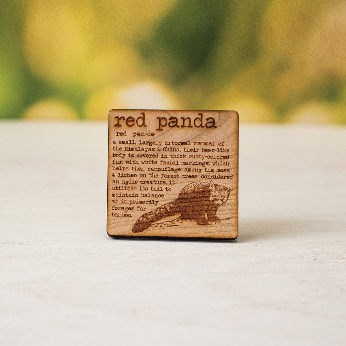 Red Panda Definition Magnet – Rack and Plume